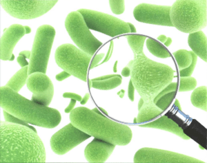 Drain Maintainer - BioLine Biological Formula - VIP Drain Services